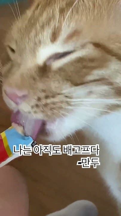 나는 아직도 배고프다 Youtube