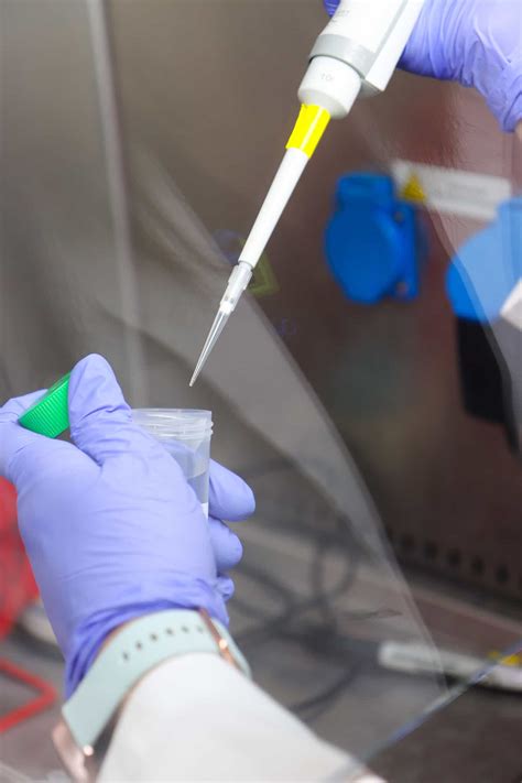 Get Results Quickly With Our Customized C Diff Panel Labtest Bio