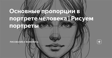 Основные пропорции в портрете человека Рисуем портреты Рисование и живопись Дзен