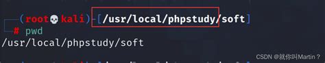 Linux用小皮搭建pikachu靶场网站小皮面板怎么搭建网站 Csdn博客