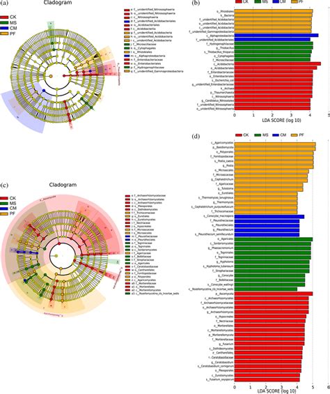 Lda Effect Size Taxonomic Cladogram Comparing Bacteria A And Fungi