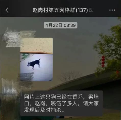 3岁男童被狗咬伤后死亡，警方已提级调查！最新进展腾讯新闻