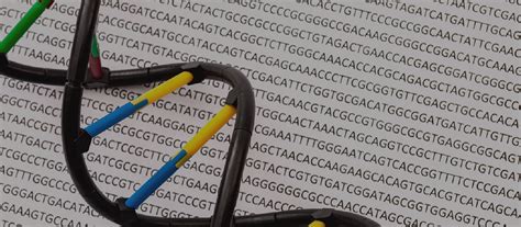 Whole Genome Variant Analysis Pipeline Excelra