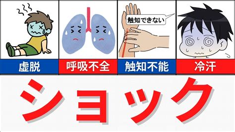 【7分で解説、27分で国試問題】ショックの徴候について解説 Youtube