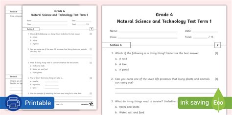 Grade 4 Ns Tech Term 1 Test Teacher Made Twinkl