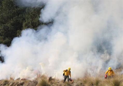 Temporada De Incendios Forestales 2024 Cari Mariya