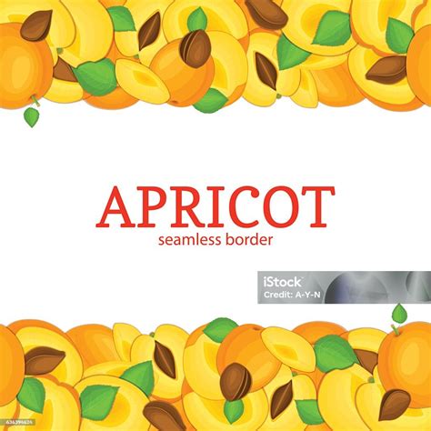 잘 익은 원숭이 수평 원활한 테두리 벡터 일러스트 카드 상단 및 0명에 대한 스톡 벡터 아트 및 기타 이미지 0명 과일 구도 Istock