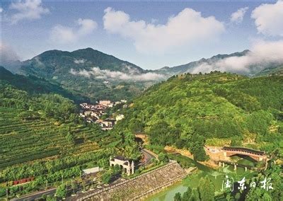 闽东之光 坦洋工夫 历久弥新 新宁德