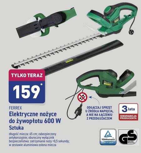 Nożyce do żywopłotu Ferrex promocja Aldi Ding pl