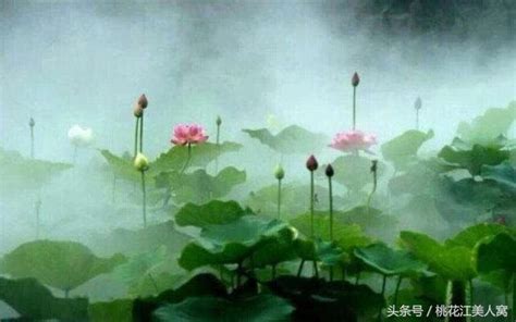 原創詩歌：《最美，最深地情詩，只為你墨生花》 每日頭條