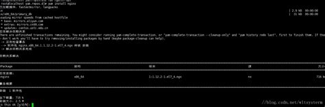 Nginx安装包安装（yum Install）nginxrepo Csdn博客