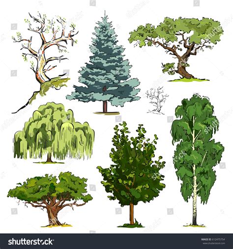 Forms Tree Crowns Stock Vector Royalty Free 612475754 Shutterstock