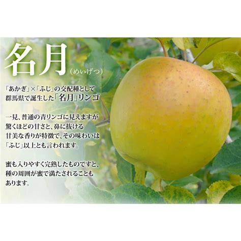 『ぐんま名月』群馬県産 りんご 約5kg 12〜20玉 産地箱 ※常温 Ja利根沼田 月夜野出荷組合 送料無料 204b00871