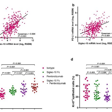 Pdf Blocking Siglec 10hi Tumor Associated Macrophages Improves Anti