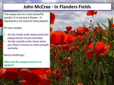 Flanders Fields Poem