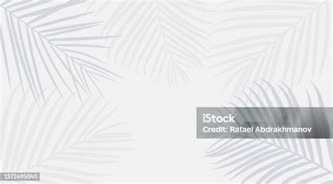 흰색 바닥에 열대 야자수 잎에서 벡터 그림자 해변에서의 직장과 휴식 그림자에 대한 스톡 벡터 아트 및 기타 이미지 그림자 종려나무 잎 0명 Istock