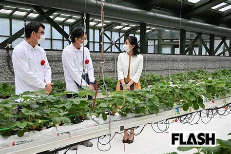 （画像・写真143）佳子さま、国体閉会式の真紅のドレスに「美しい！」と称賛あふれる増えるご負担に心配も Smart Flashスマ