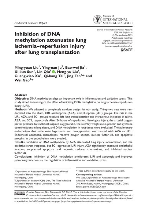 pdf inhibition of dna methylation attenuates lung ischemia