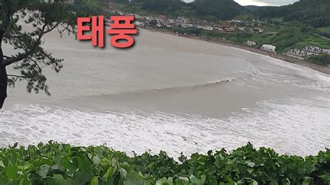 태풍 여긴 얌전하게 지나갔어요 피해 없으시길 바랍니다 YouTube