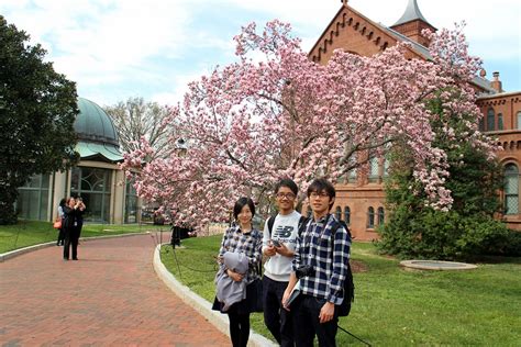 お知らせ 信州大学 繊維学部リーディング大学院