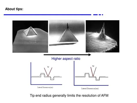 Ppt Atomic Force Microscopy Afm Powerpoint Presentation Free
