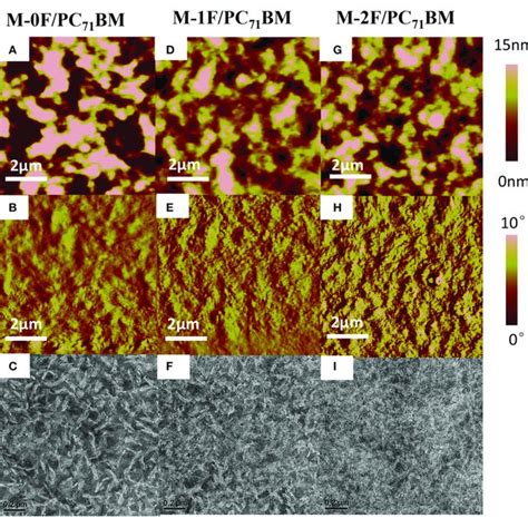 Tapping Mode Afm Adg Topography And Beh Phase Images And