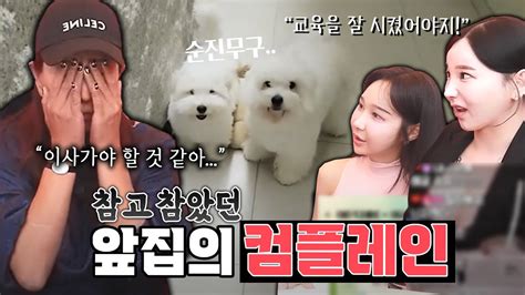 참고 참다 터진 앞집 정중하게 📄 이 꼬똥이들을 어떻게 하나 Youtube