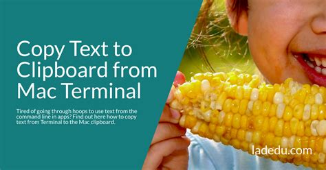 How To Copy Text To Clipboard From Mac Terminal La De Du