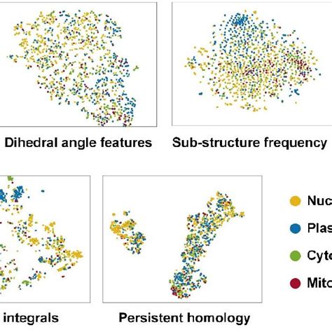t sne visualization of the structural features download scientific