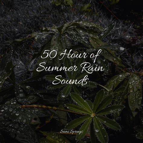 50 Hour Of Summer Rain Sounds Album By Musica Relajante Spotify