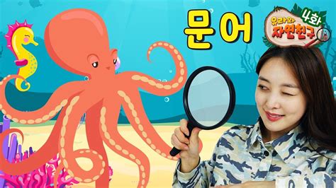 [유라와 자연친구 04화] 먹물 무기를 가진 문어ㅣ바다생물 자연 관찰 학습 Youtube