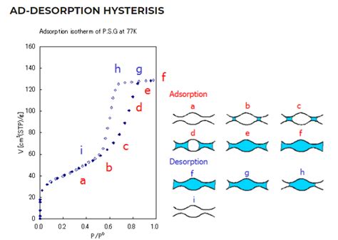 Solved Hysteresis Was Described As Part Of The Absorption Desorption