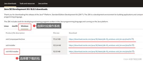 java配置jdk环境变量、自动安装jre（详细） java jre环境配置 csdn博客