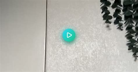 Flicker Album On Imgur