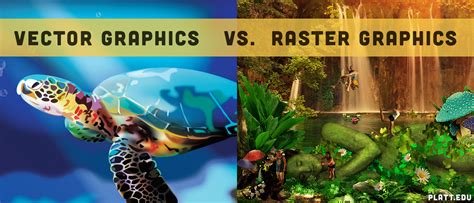 Vector Versus Raster Data
