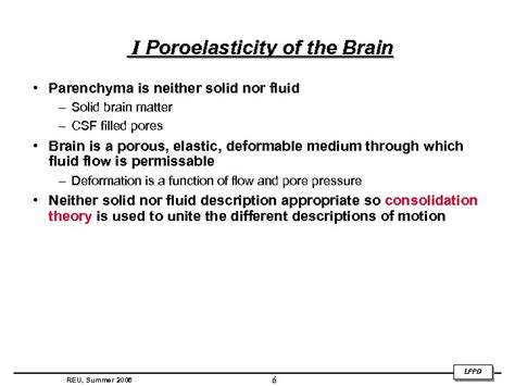 Cerebrospinal Fluid Tissue Interactions In The Human Brain Reu
