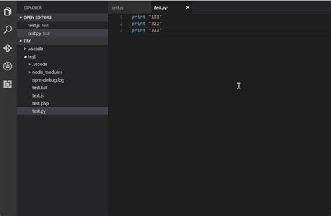Go Vscode