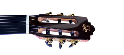 Cp 5 Series Professional Fretless Electric Classical Guitar
