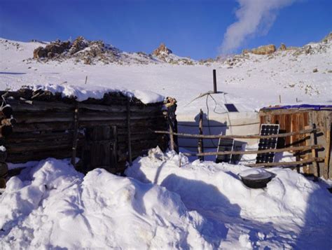 Өвөлжилт хүндэрсэн аймаг сумдын малчдад дэмжлэг үзүүлэх зорилгоор