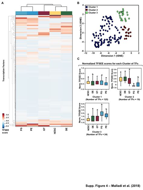 Total Functional Score Of Enhancer Elements Identifies Lineage Specific