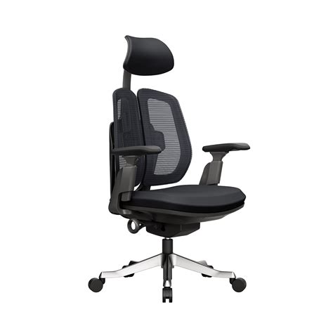 เก้าอี้สุขภาพ Bwell Astrid Ergonomic Chair