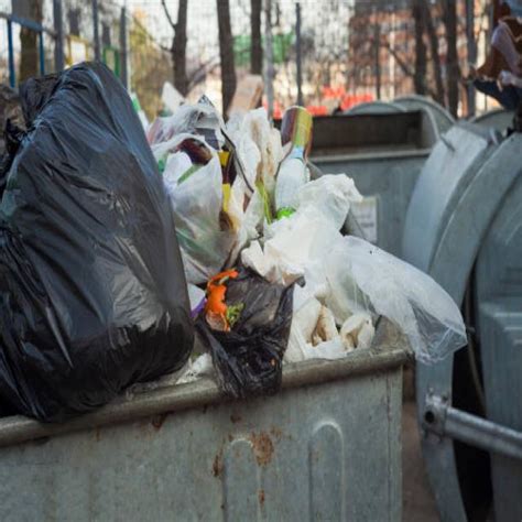 Litter Detection Object Detection Dataset By Aihans Workshop