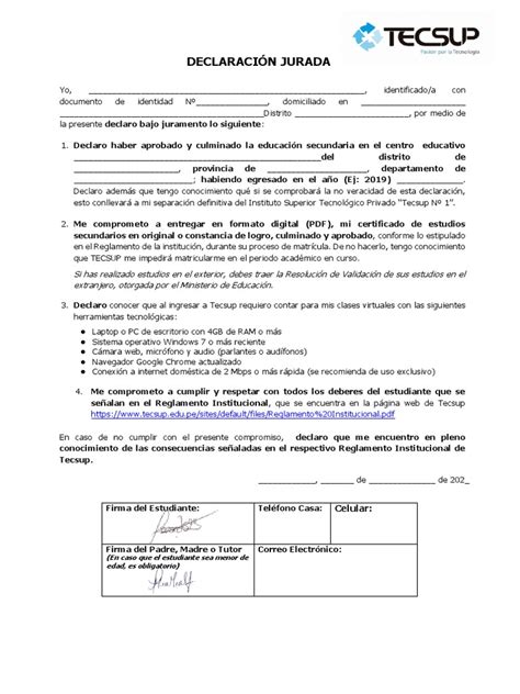 Declaración Jurada 2023 Pdf Informática