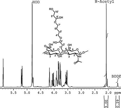 1 H Nmr Spectrum Of Bdde Cross Linked Ha Hydrogel 2b After Incubation