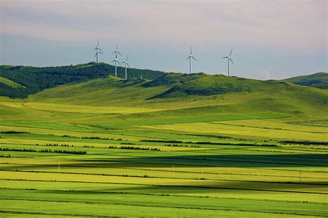Landscape Of Grassland 1 By Zhouyousifang