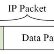 Packet Structure In MPLS Networks Download Scientific Diagram