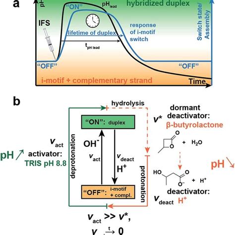 concept for temporal programming of the ph sensitive i motif switch by