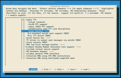 Risc V Linux