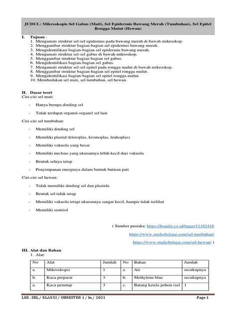 Biologi Lks Eksperimen Sel Bawang Merah Sel Gabus Sel Epitel Pdf