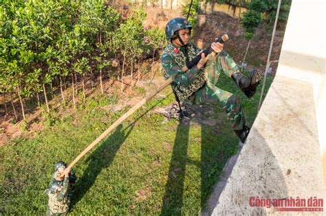 Cand Khám Phá Nghệ Thuật Nguỵ Trang độc đáo Của Bộ đội đặc Công Việt